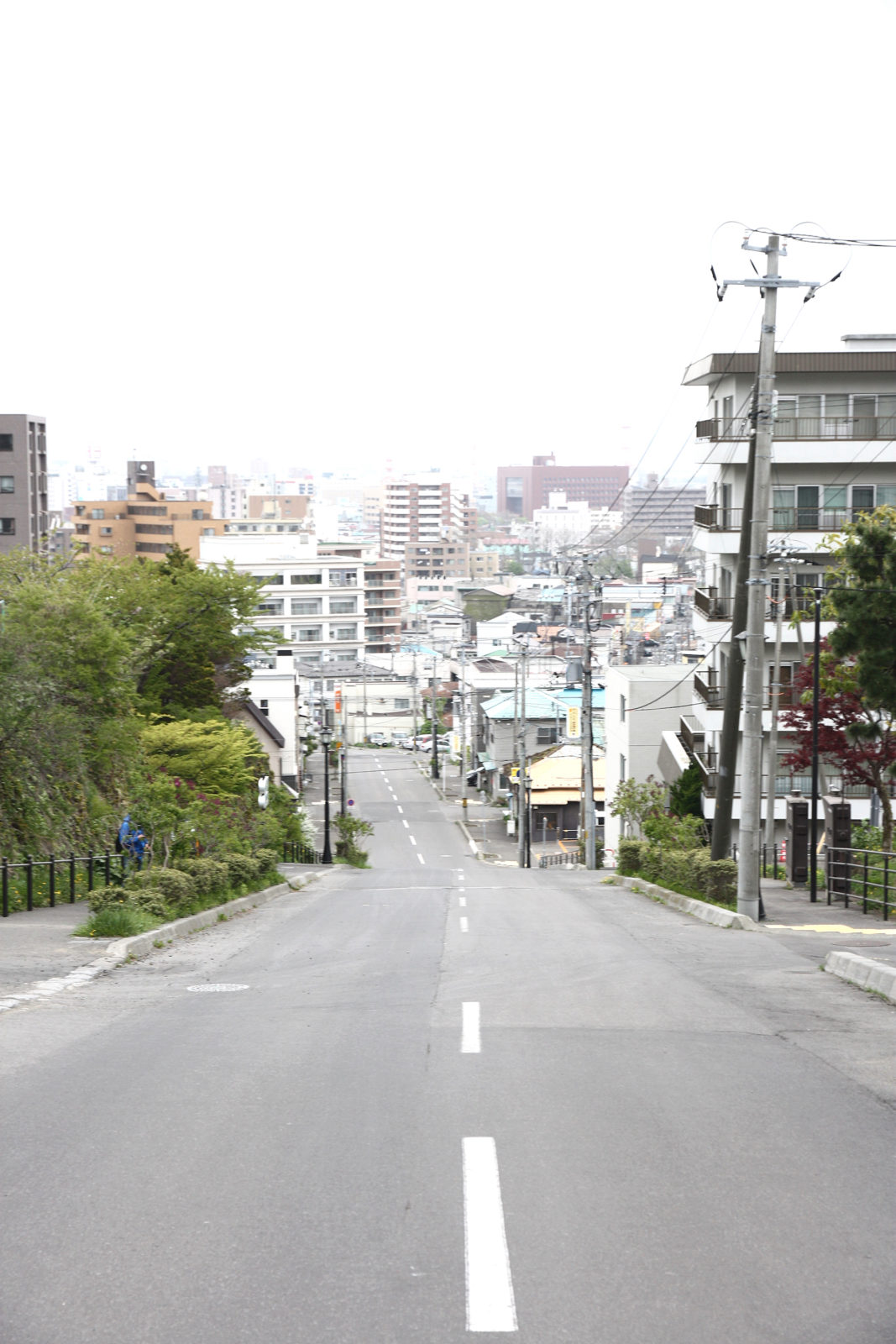 Mount Hakodate 28 - Jayndee