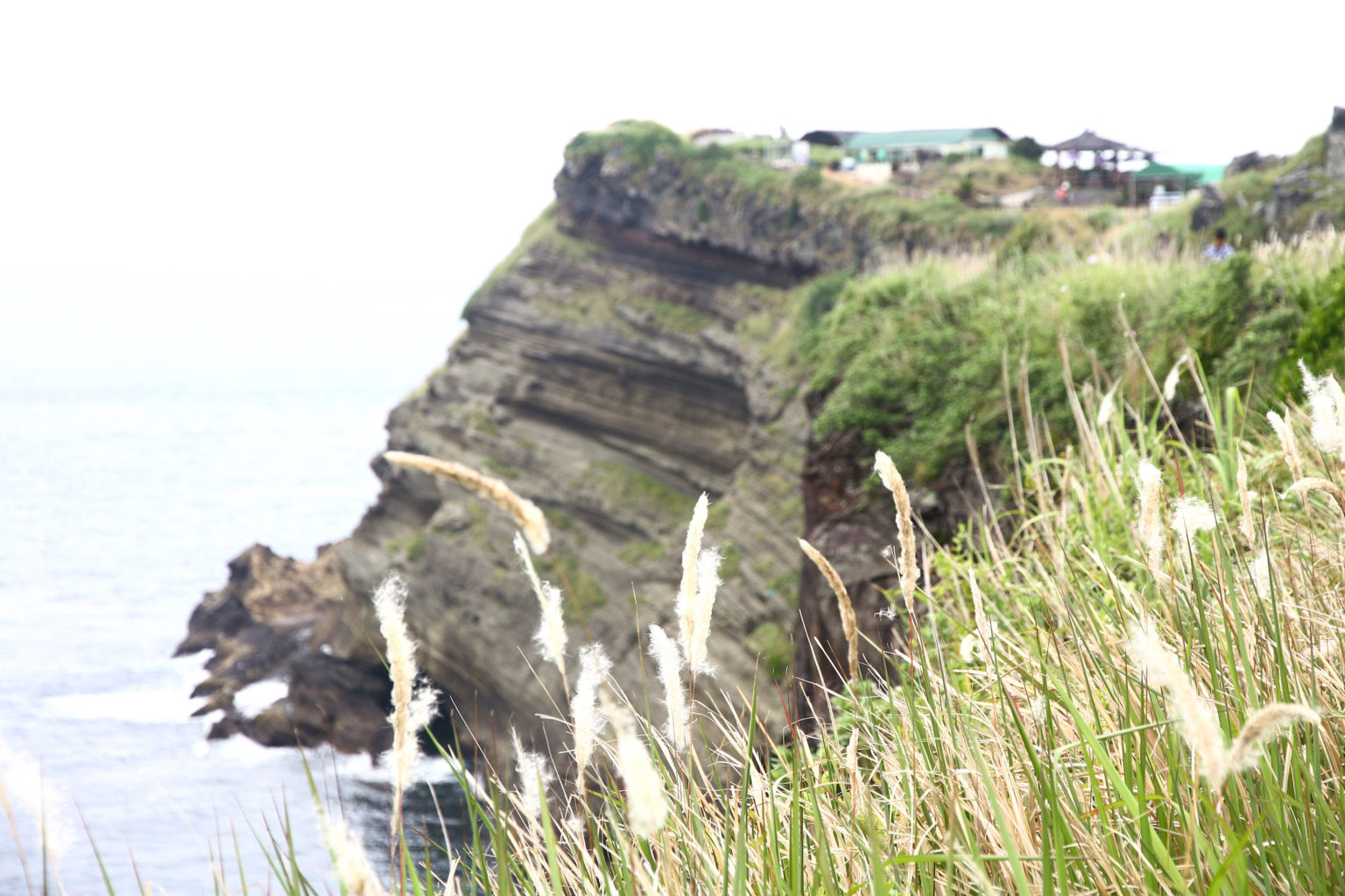 Jeju Road Trip Itinerary, Day 1: Songaksan Mountain, Jusangjeolli Cliff ...