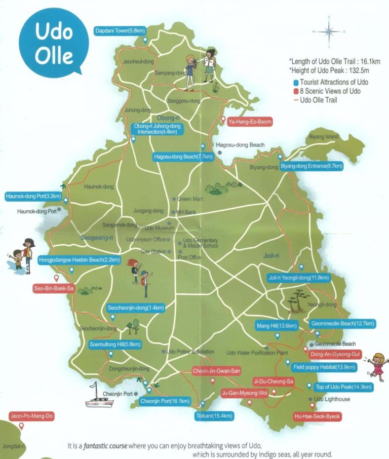 Jeju Road Trip Itinerary Day 4: Udo Island - Jayndee